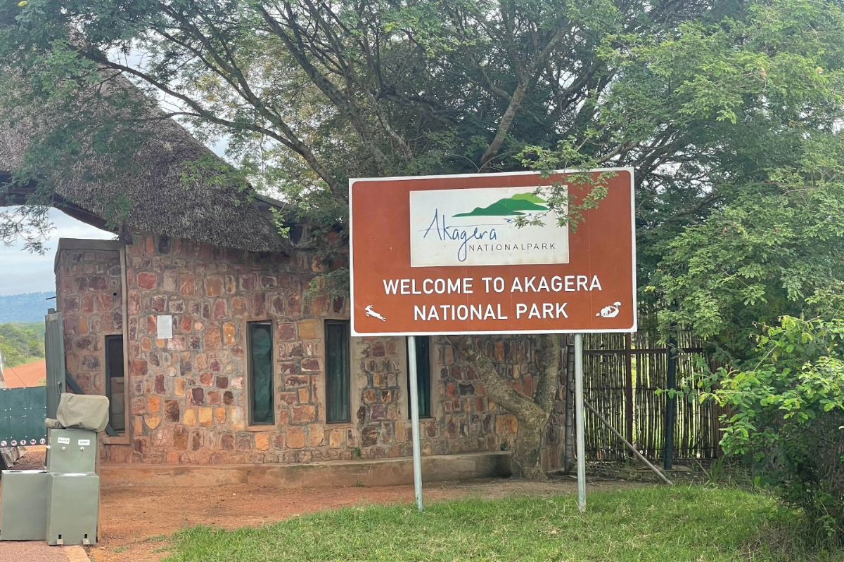 Game drives in Akagera National Park - Bwindi Gorilla Trekking From Kigali